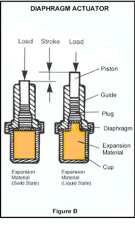 Tech Talk - What is a Thermal Relief Valve? - Gustavo Preston Company